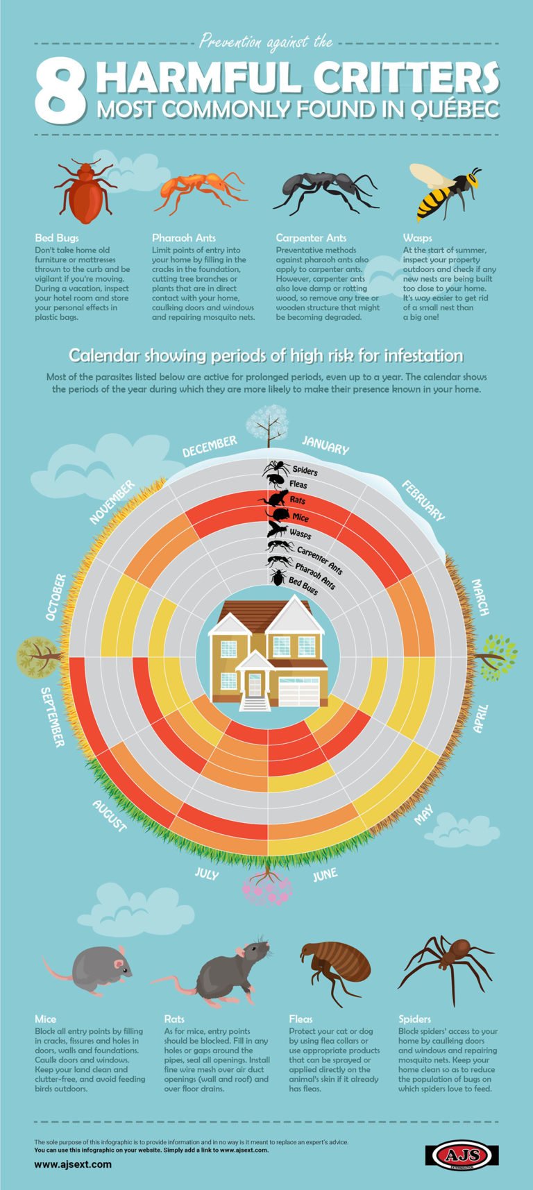 Advice on Preventing an Infestation of Insects | AJS Extermination ...